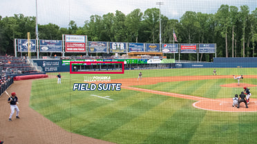 Field Suite | Nationals