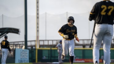 Marauders Win Suspended Contest, Fall 7-1 in Game Two
