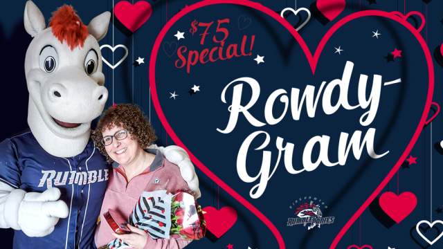 Binghamton Rumble Ponies | MiLB.com