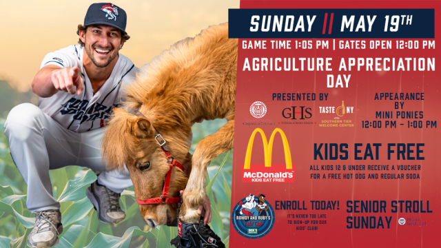 Binghamton Rumble Ponies | MiLB.com