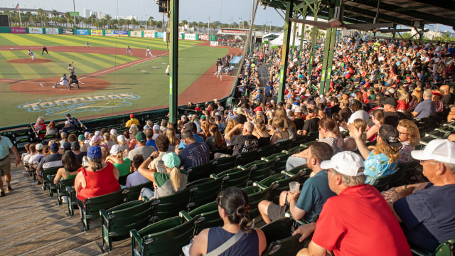 Dominic Pitelli Stats, Age, Position, Height, Weight, Fantasy & News ...