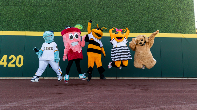 Salt Lake Bees Introduce Bumble & Friends