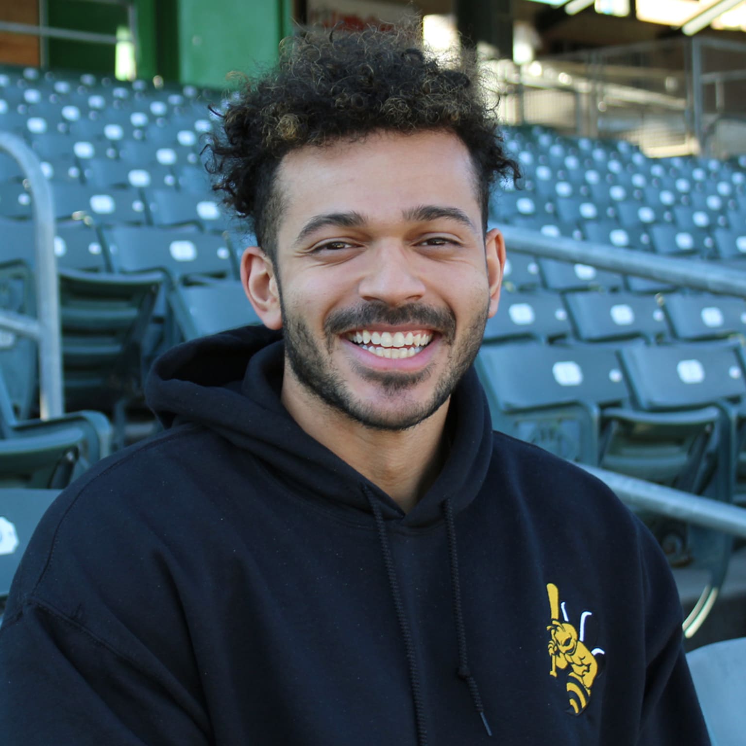 sl-bees | Bees