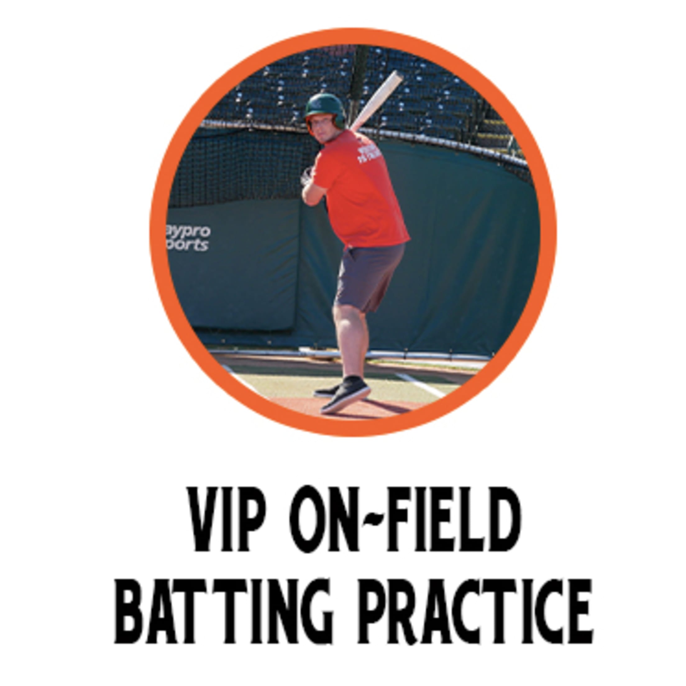 Shorebirds Mini Plans | Shorebirds