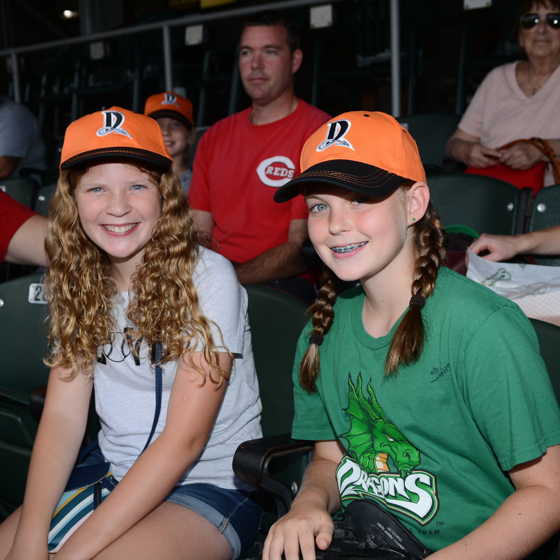 Wendy's Friends & Family | Dragons