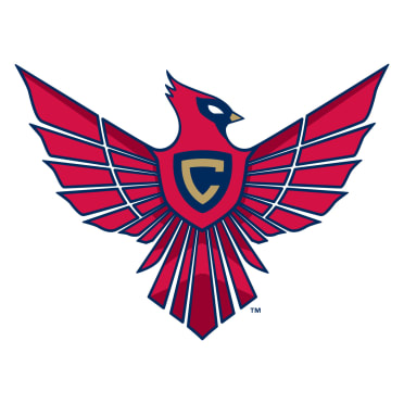 MiLB & Marvel "Defenders of the Diamond" logos - Page 2 - Sports Logo ...