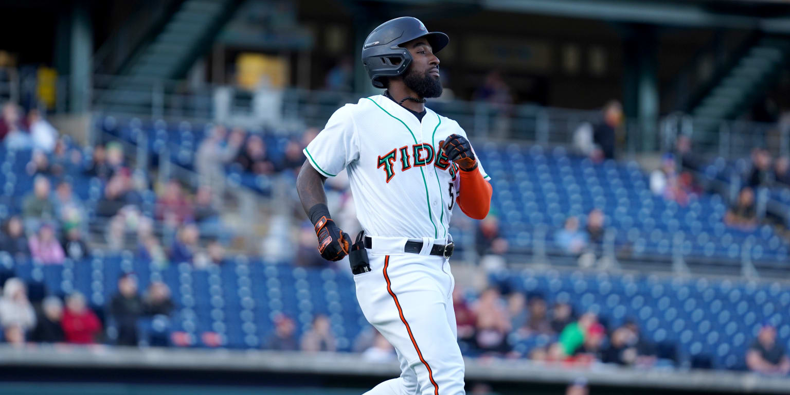 Johnson Home Run Not Enough to Power Tides to Win | MiLB.com