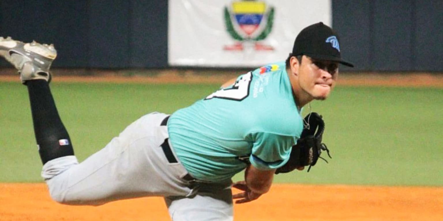 Leones: El venezolano José Gabriel Torres se une al staff de pitcheo ...