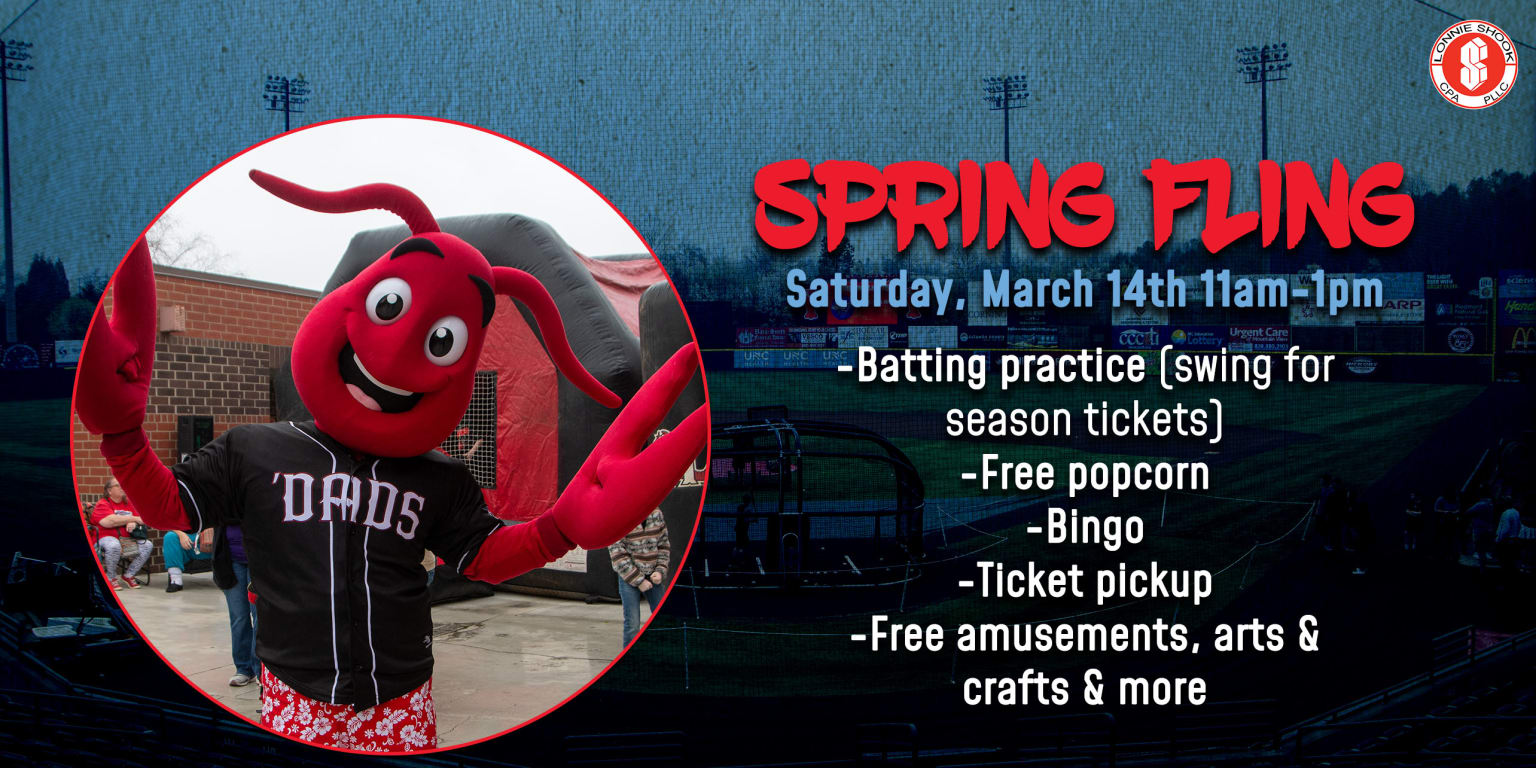 Get into the Swing of 2026 at the Spring Fling | MiLB.com