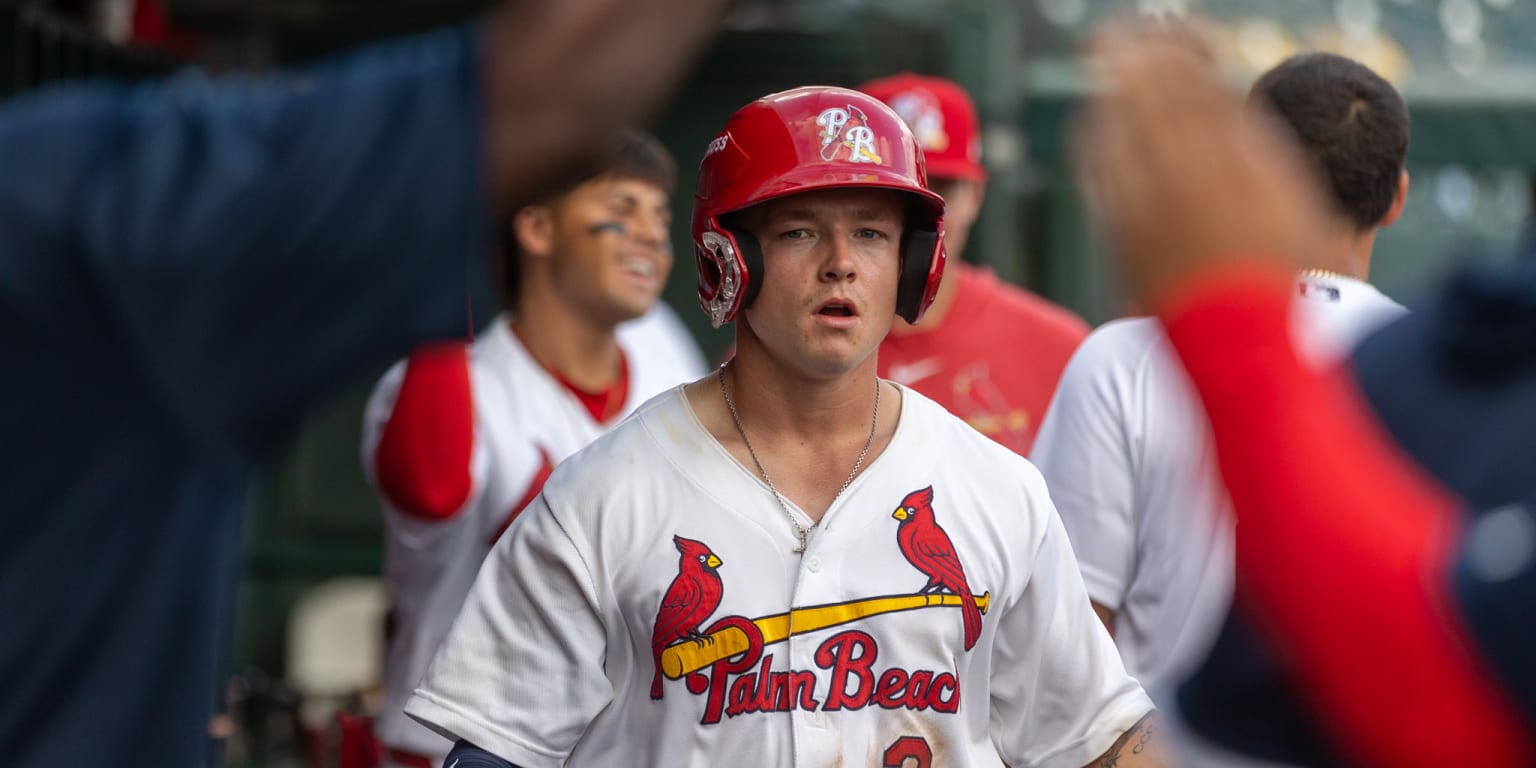 Cardinals Comeback Falls Short in 7-4 Loss to Hammerheads on Sunday ...