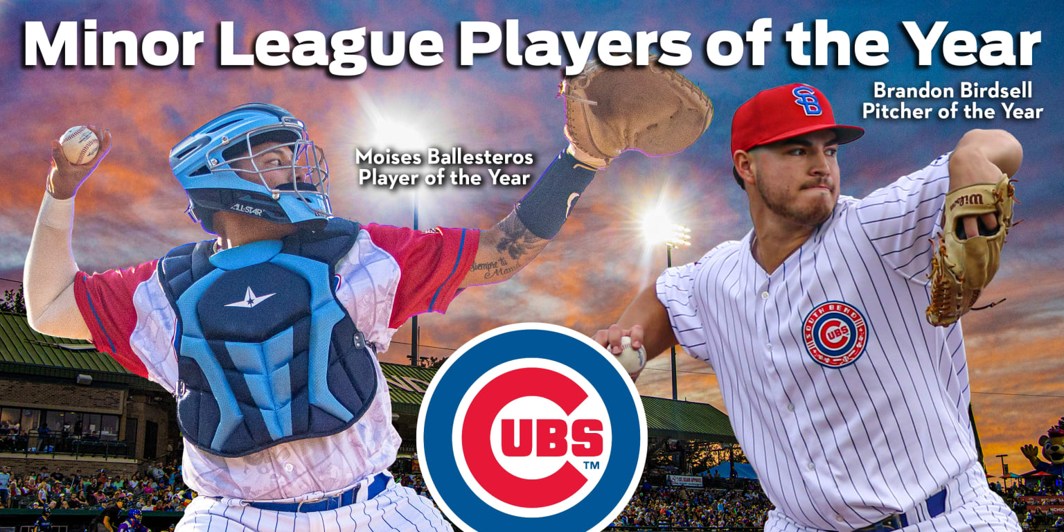 Former South Bend Cubs Moises Ballesteros and Brandon Birdsell Named ...