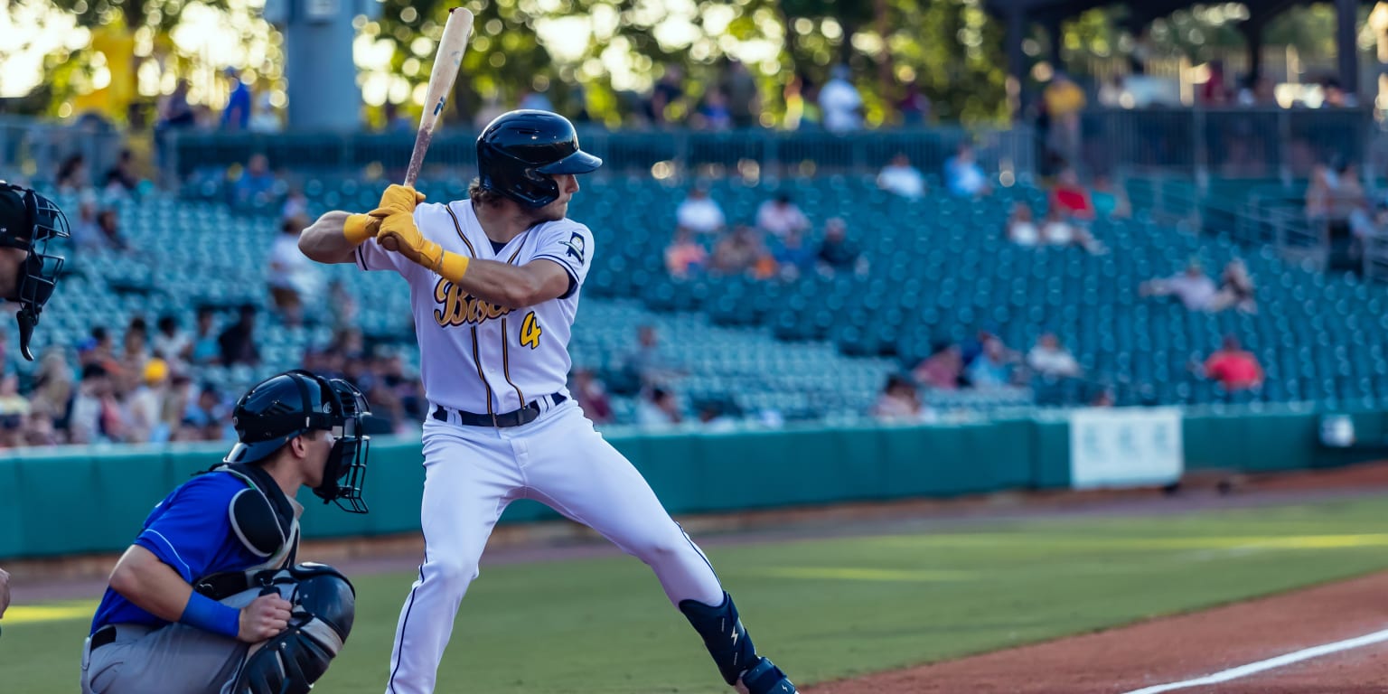 Biscuits Split Series With Smokies, Drop Finale | MiLB.com