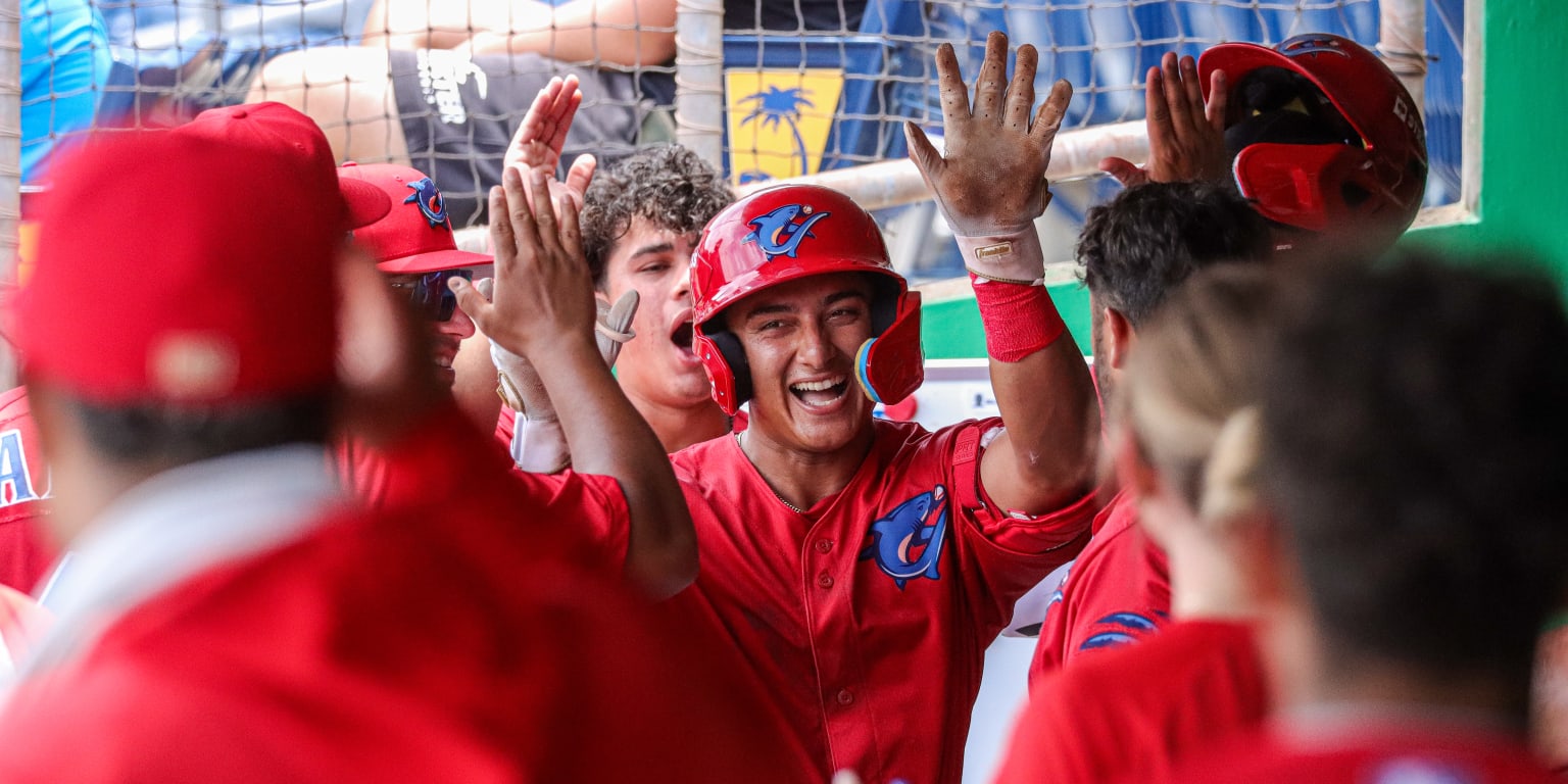 Saltiban, Nori Combine for Six Hits and Two Homers in Shutout | MiLB.com