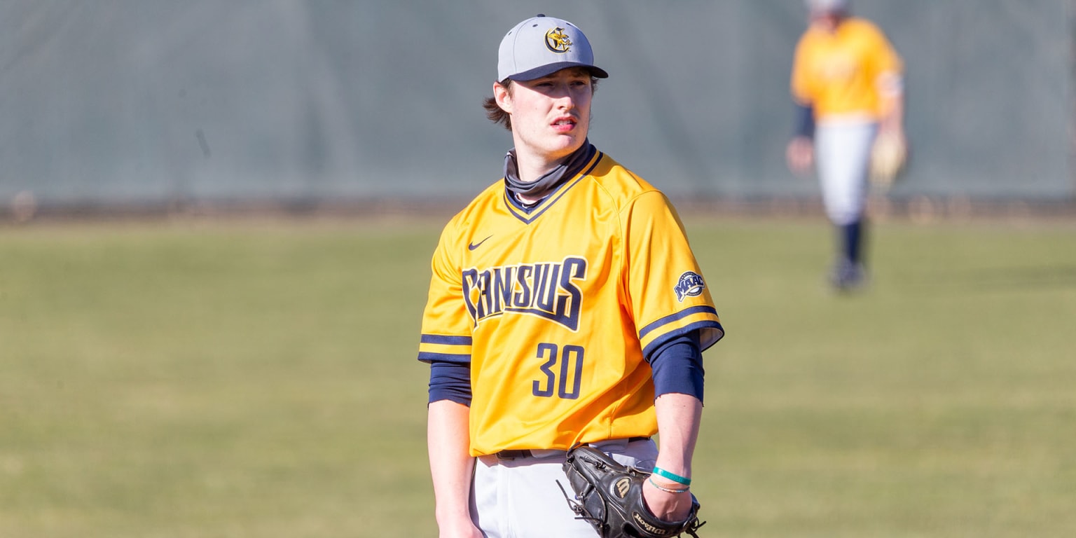 Ryan Boyer promoted to Buffalo | MiLB.com