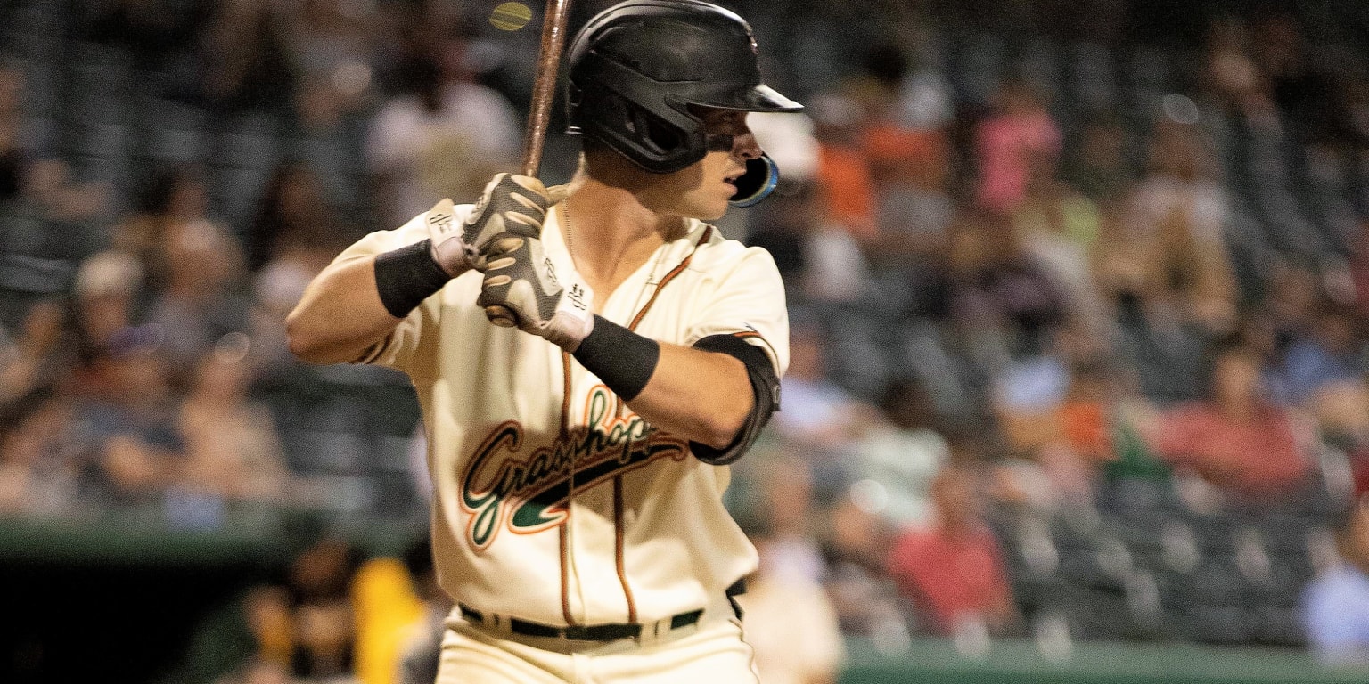 Jackson Glenn's walk-off hit lifts Hoppers to I-40 win | MiLB.com