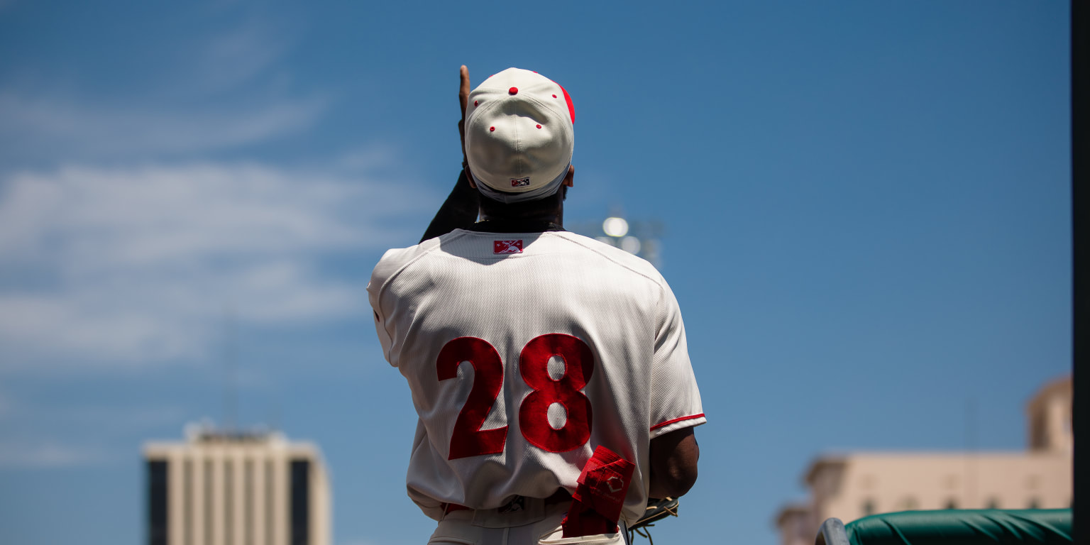 Andrews Jr. hits inside-the-park home run as Grizzlies lose 10-5 to ...
