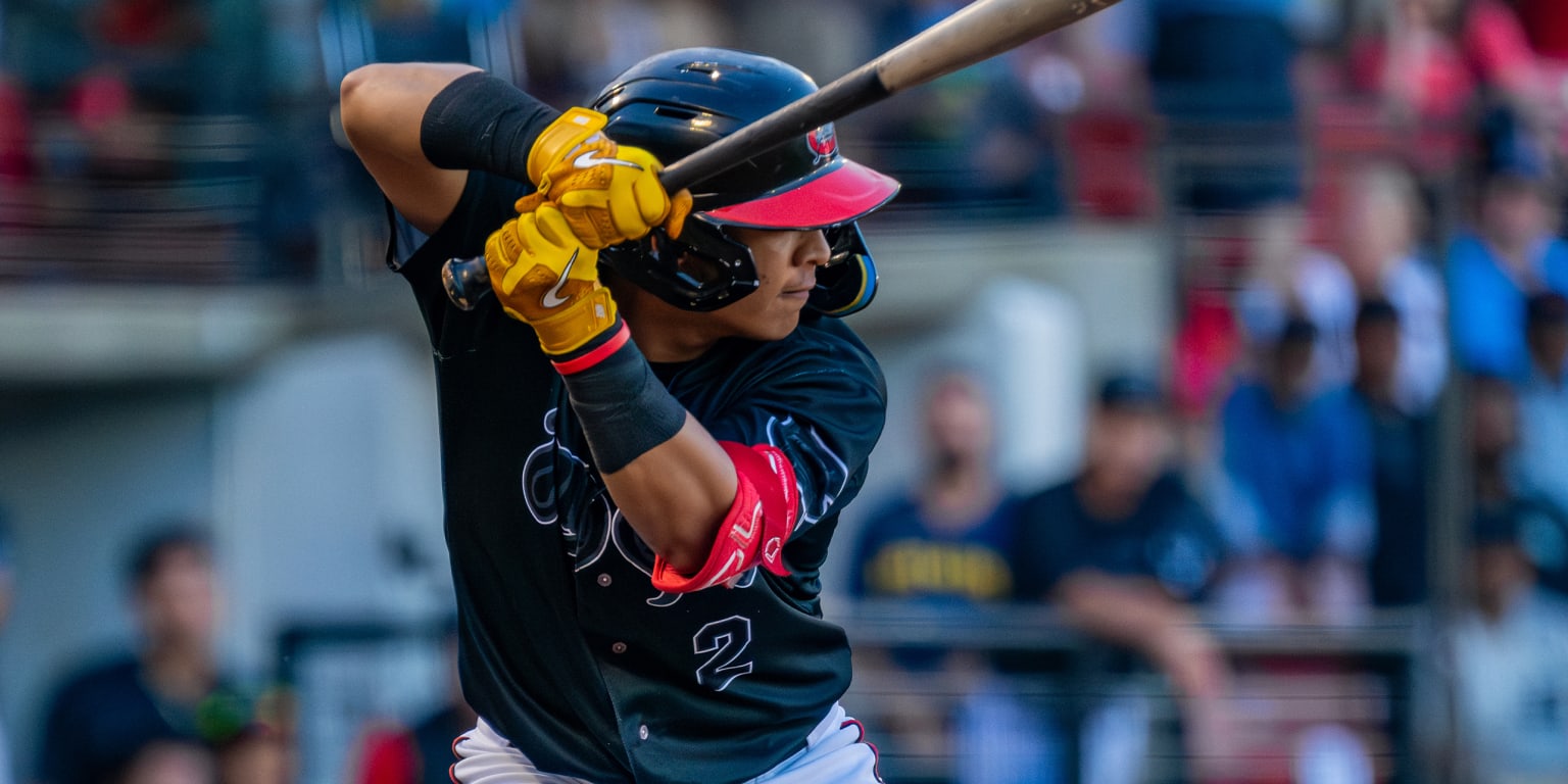 Areinamo Homers in 6-5 Loss in Myrtle Beach | MiLB.com