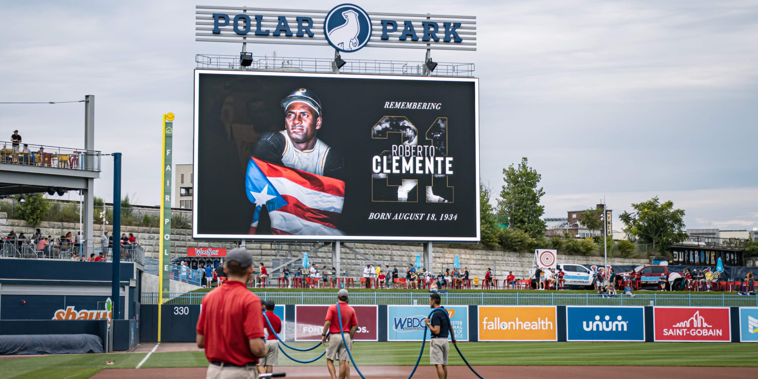Roberto Clemente Foundation | MiLB.com