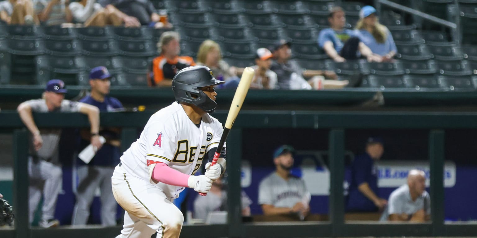 Bees Conclude Trip to Sugar Land With Loss | Bees