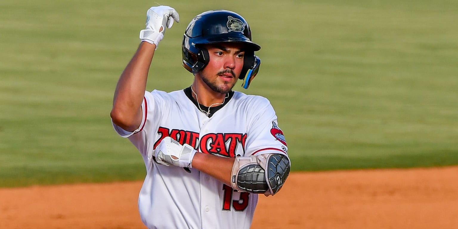 Mudcats Held to One Hit in 2-0 Loss in Delmarva | MiLB.com
