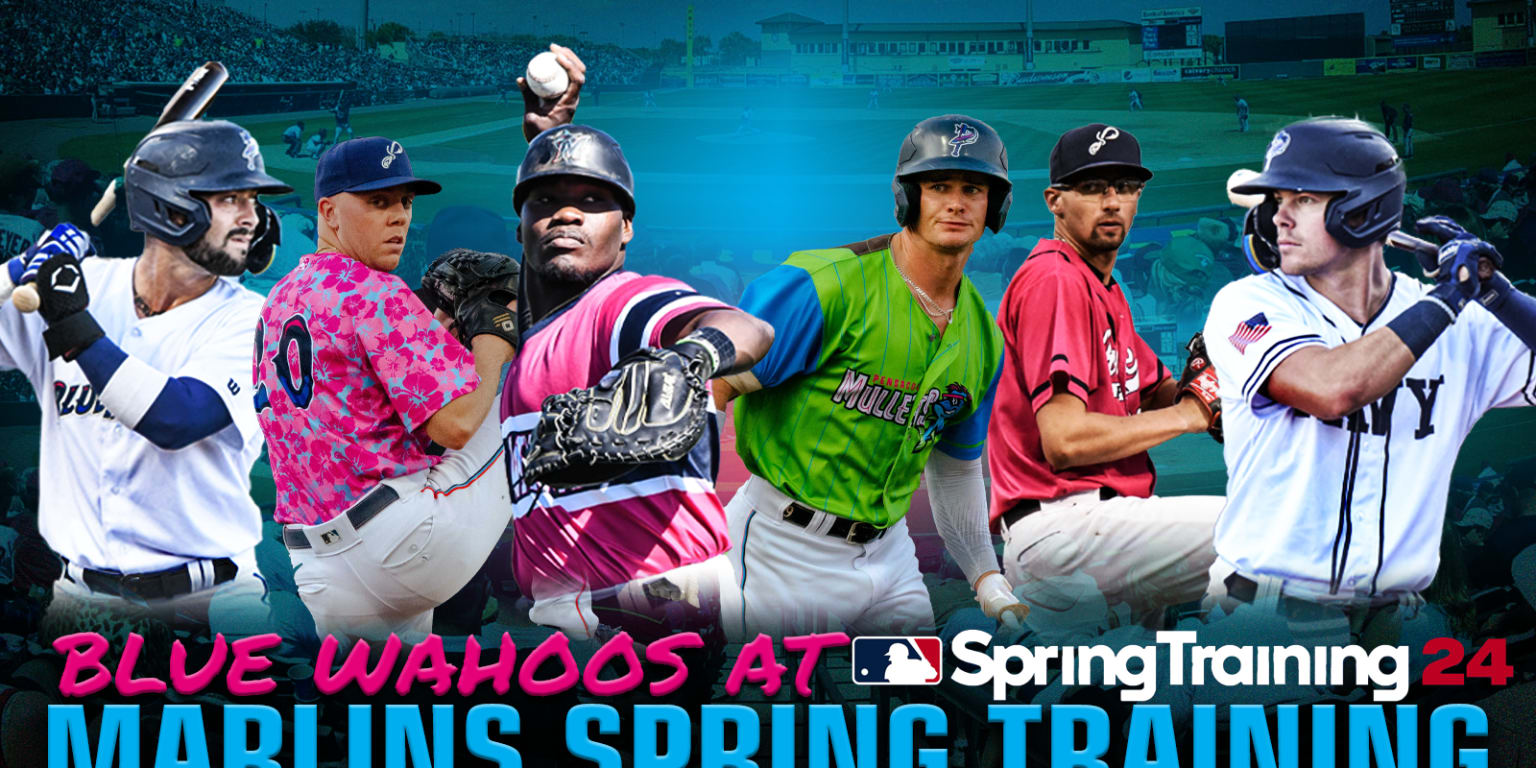 11 Former Blue Wahoos Receive Non-Roster Spring Training Invitations ...