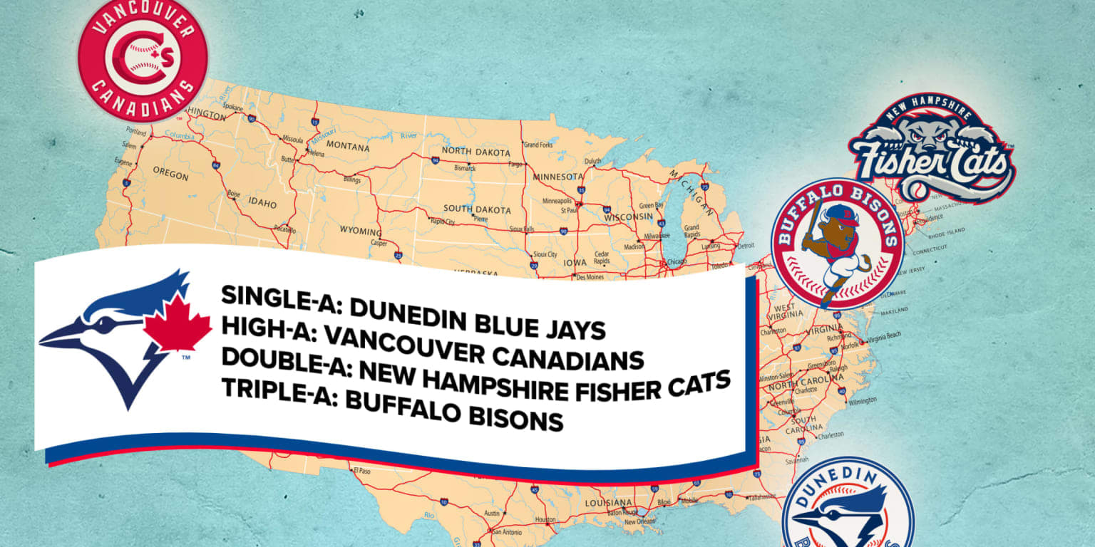 Toronto Blue Jays Minor League ballparks | MiLB.com