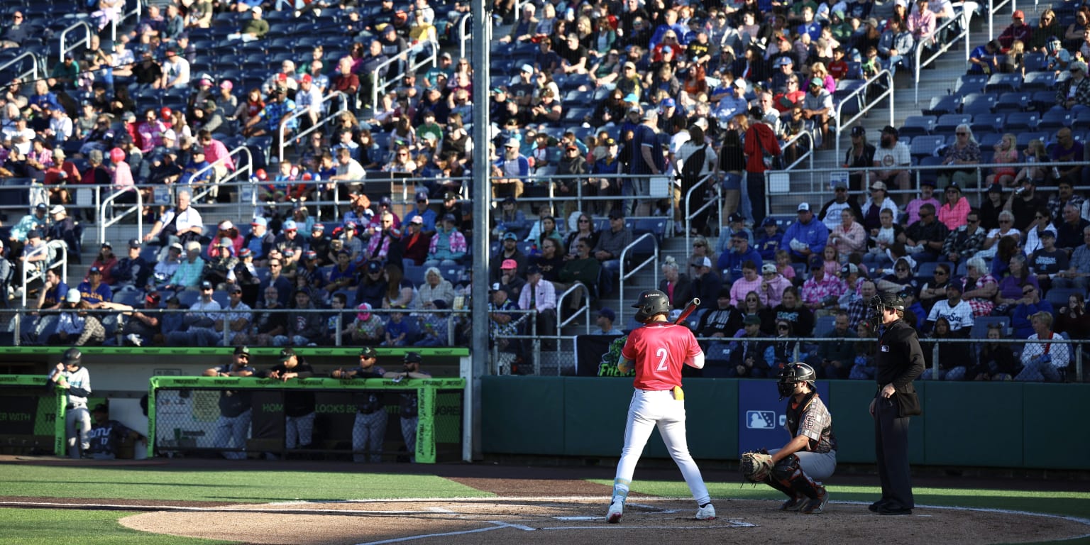2,376 Come Out For Pink At The Park | MiLB.com