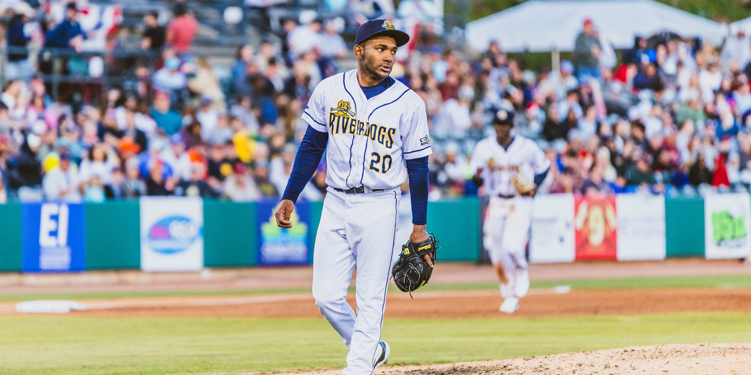 RiverDogs Limited to Pair of Hits in 3-1 Loss to Open Road Swing | MiLB.com