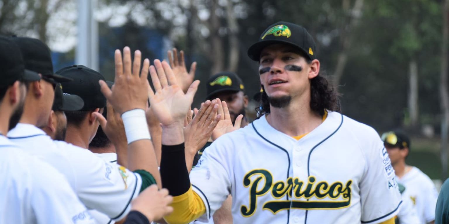 Pericos: A mantener el vuelo en casa | MiLB.com