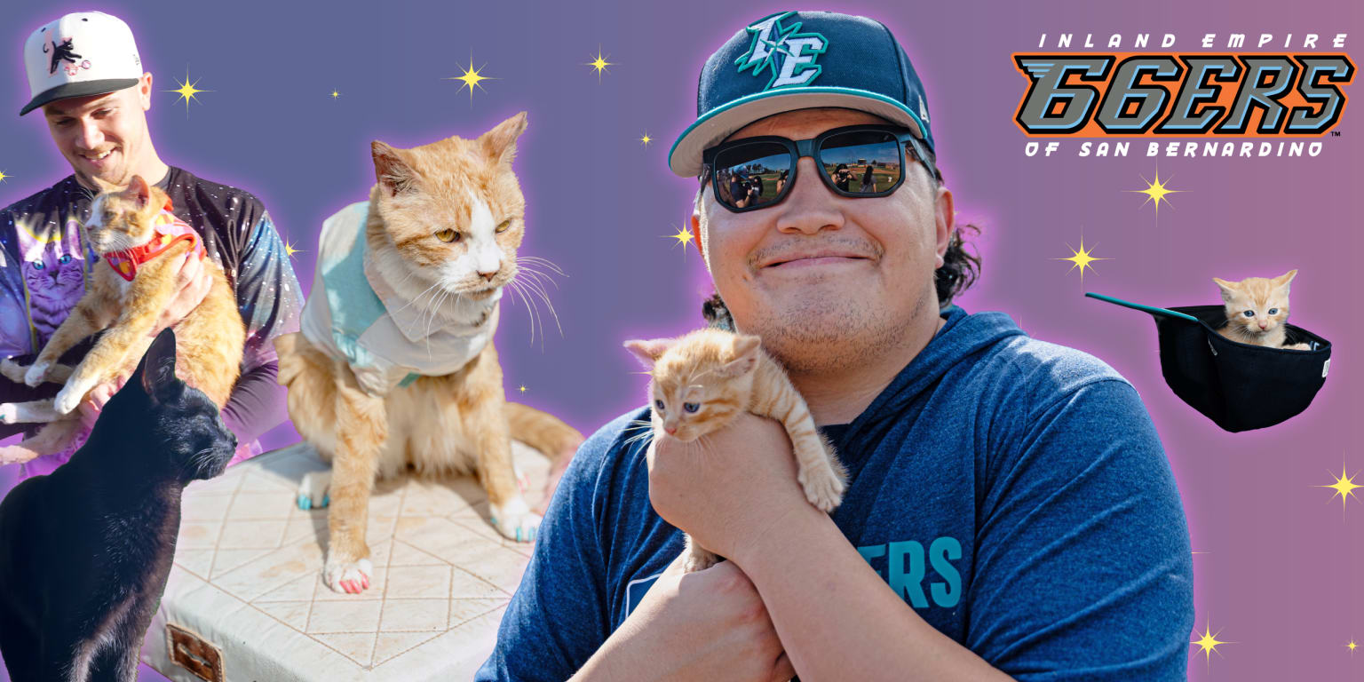 66ers 26 Kittens PR