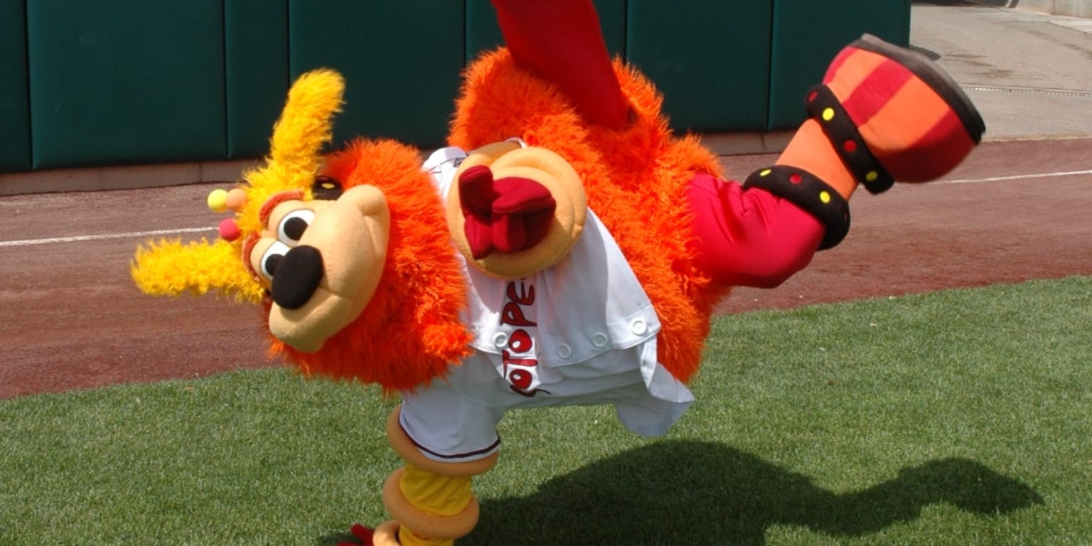 Orbit Wins USA Today 10Best Readers' Choice Award for Best Minor League ...