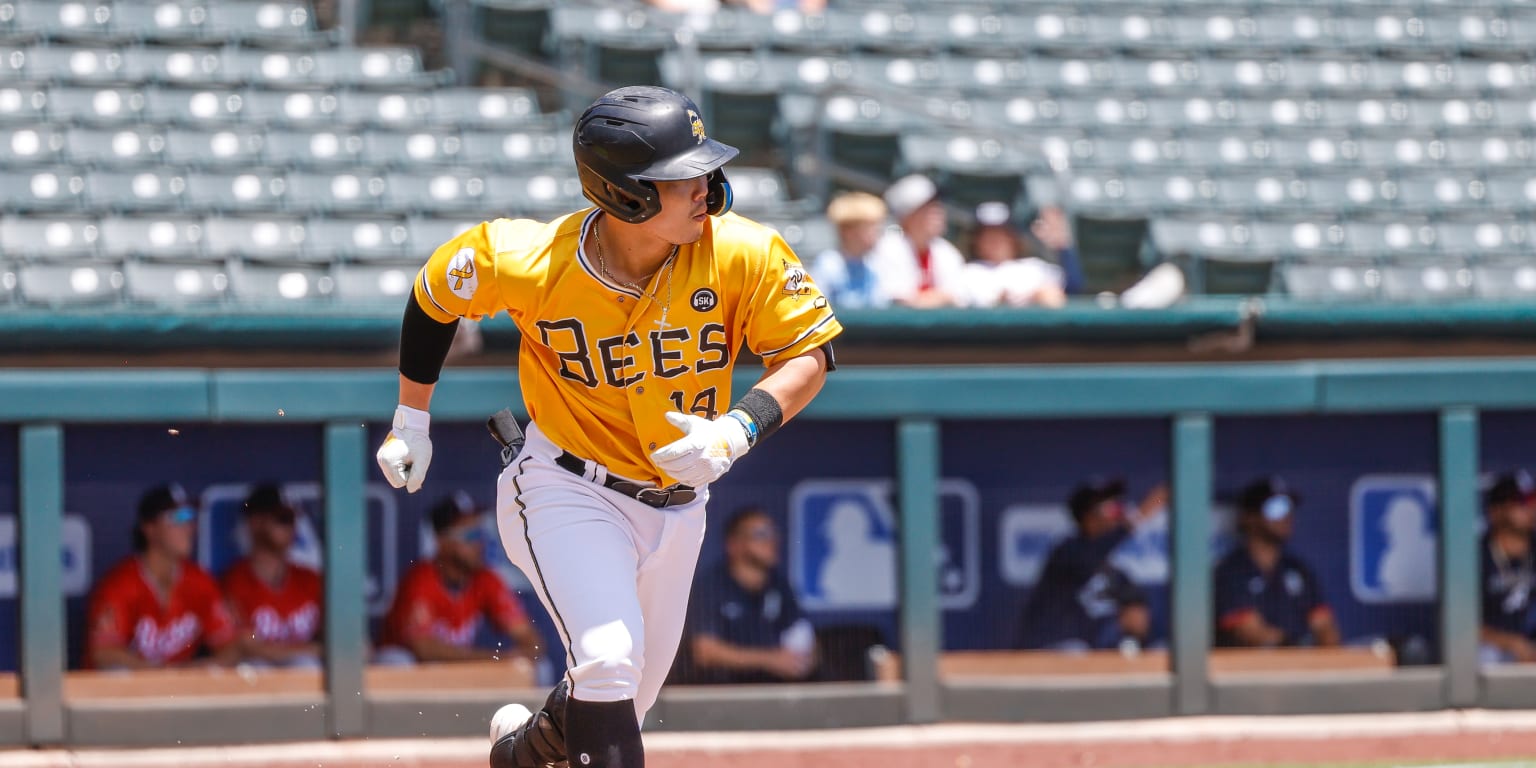 Extra Inning Battle Concludes with Bees Loss at Albuquerque | MiLB.com
