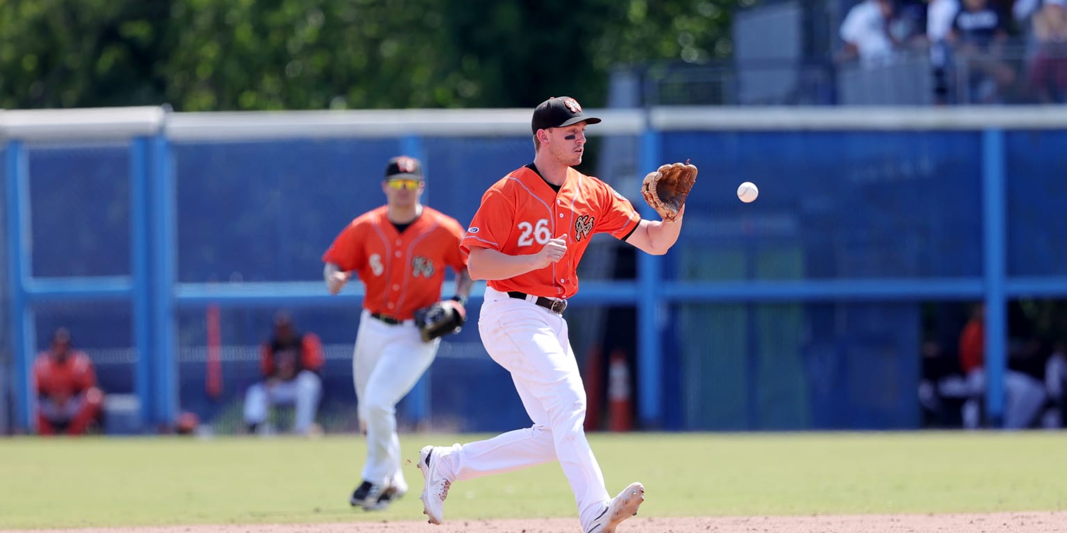 Tides Split First Two Games at Jacksonville | MiLB.com