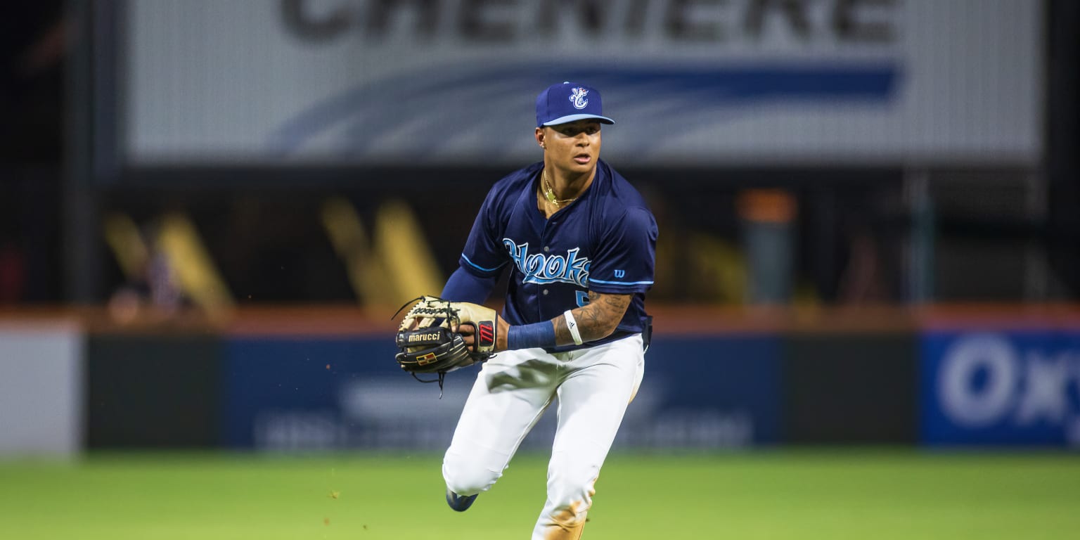 Kollar & SA Collar Hooks | MiLB.com