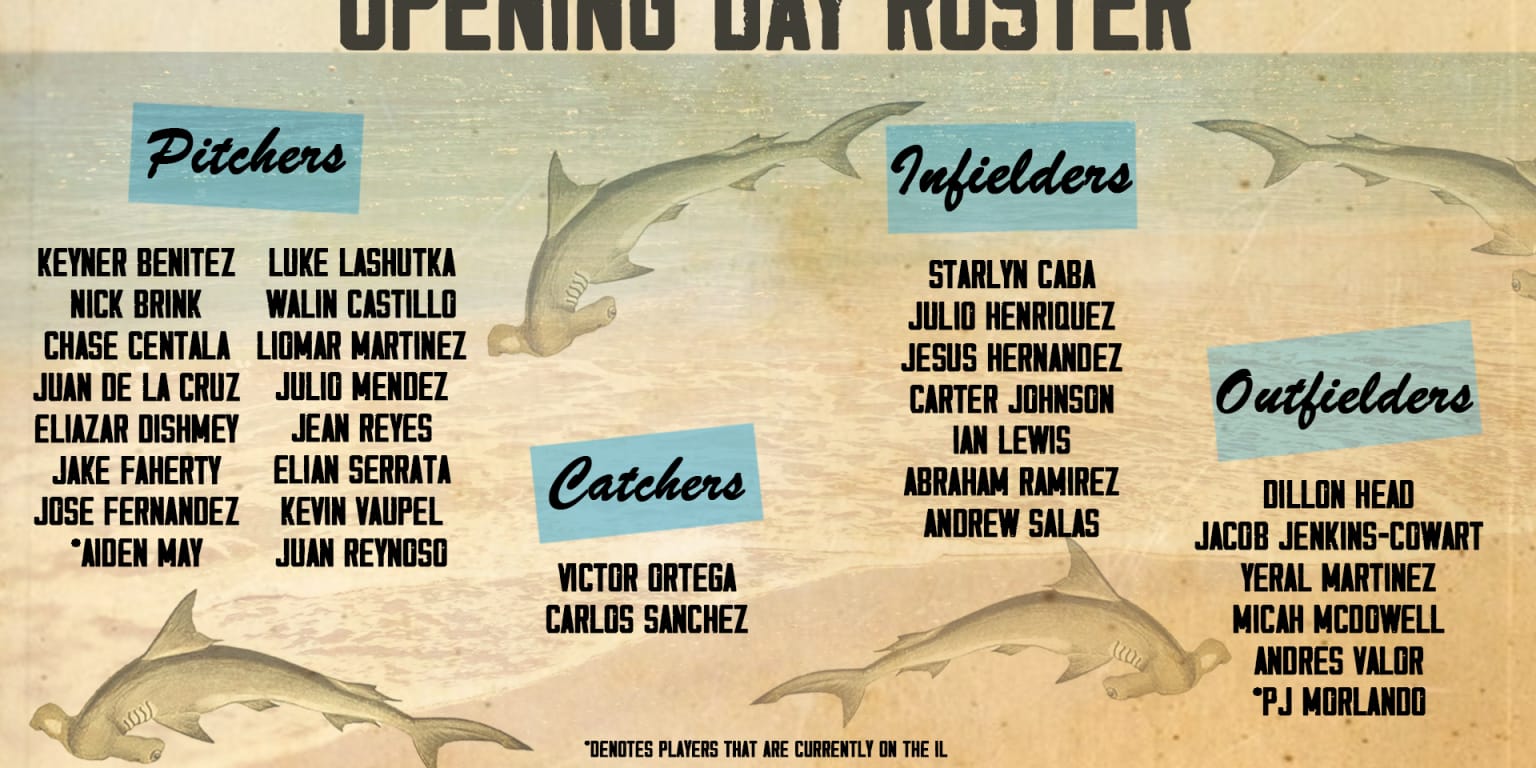 Jupiter Hammerheads Announce Opening Day Roster for the 2025 FSL Season ...