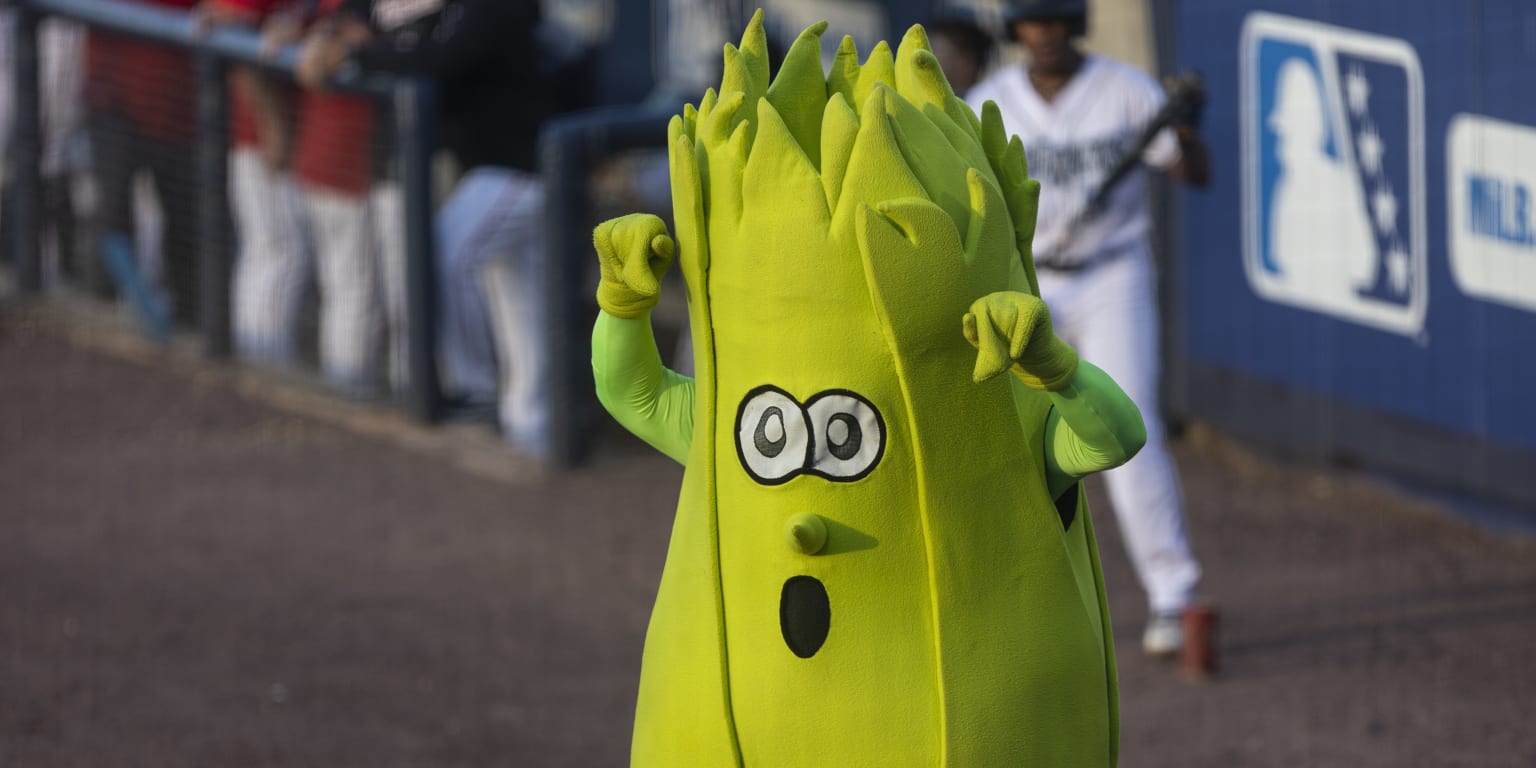 Mr. Celery Voted #2 Mascot in all of Minor League Baseball | MiLB.com