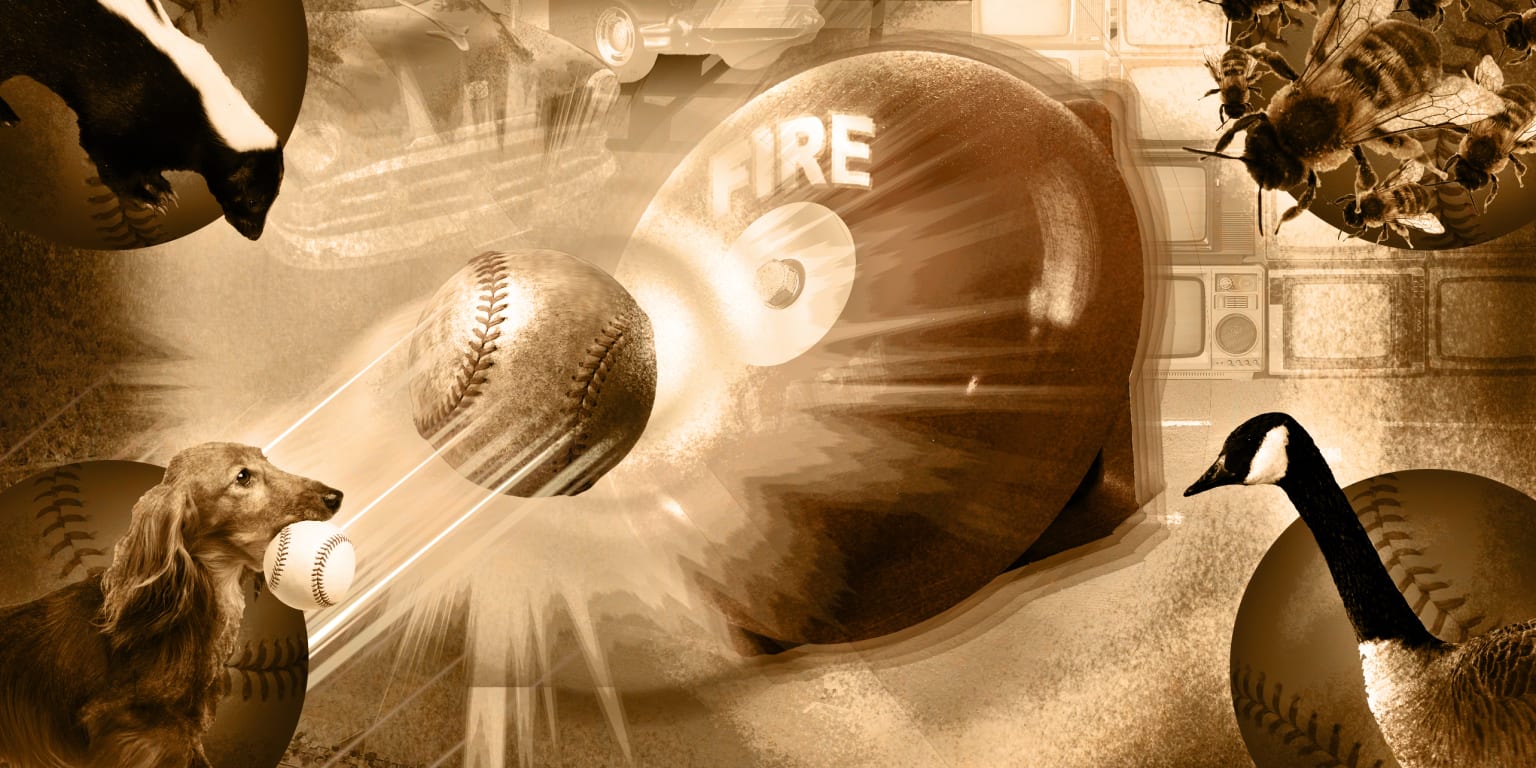 Strange delays in Minor League Baseball | MiLB.com