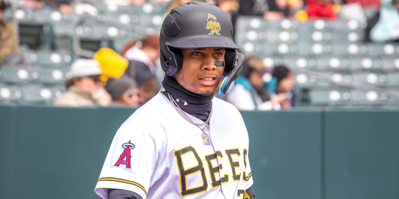 Aviators Snap Bees Win Streak | MiLB.com