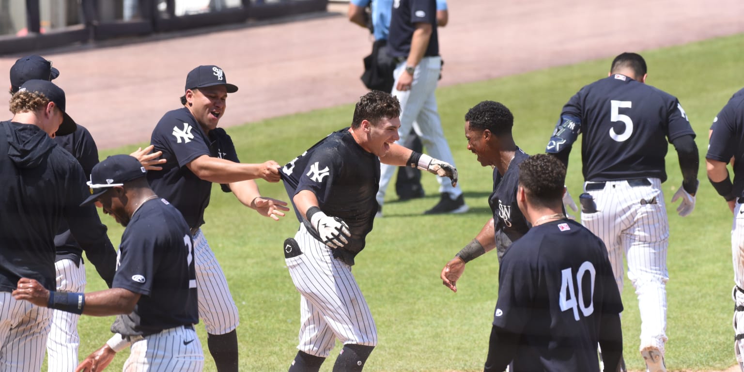 Walk-Off Wednesday: Durbin Shines in 12-10 Win | MiLB.com