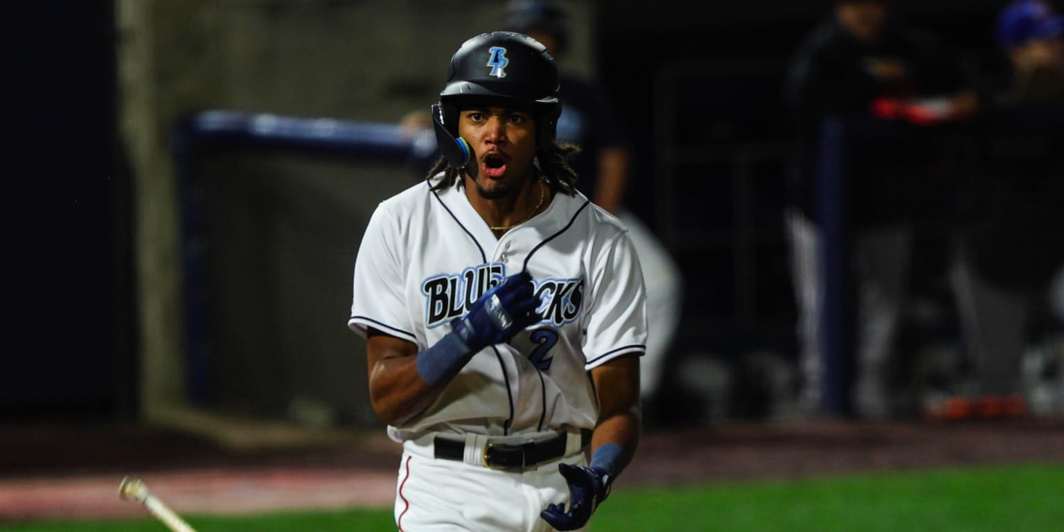 Wilmington Blue Rocks Awards Results | MiLB.com