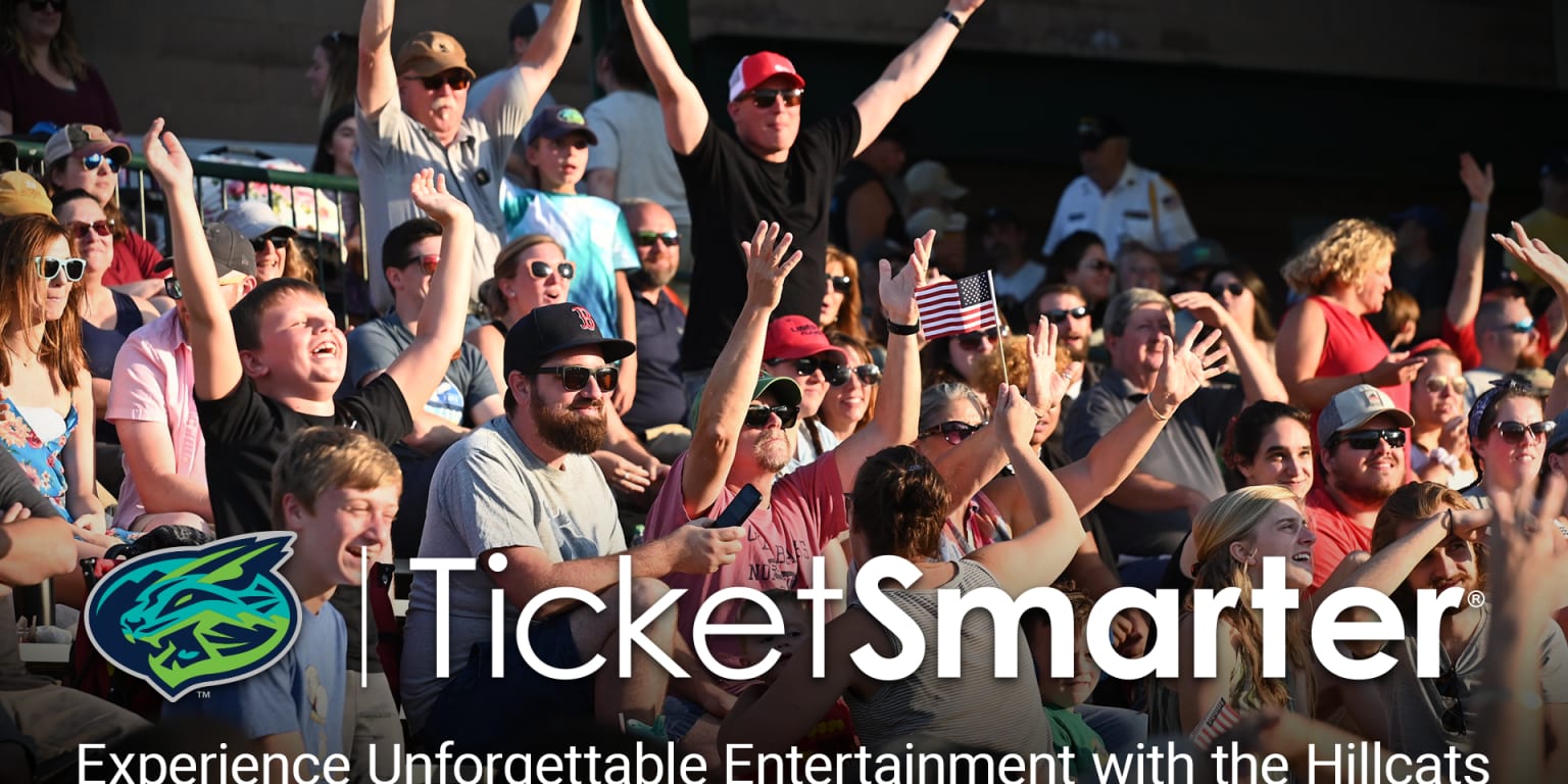 Lynchburg’s Ultimate Concert Journey: A Musical Escape for Hillcats ...