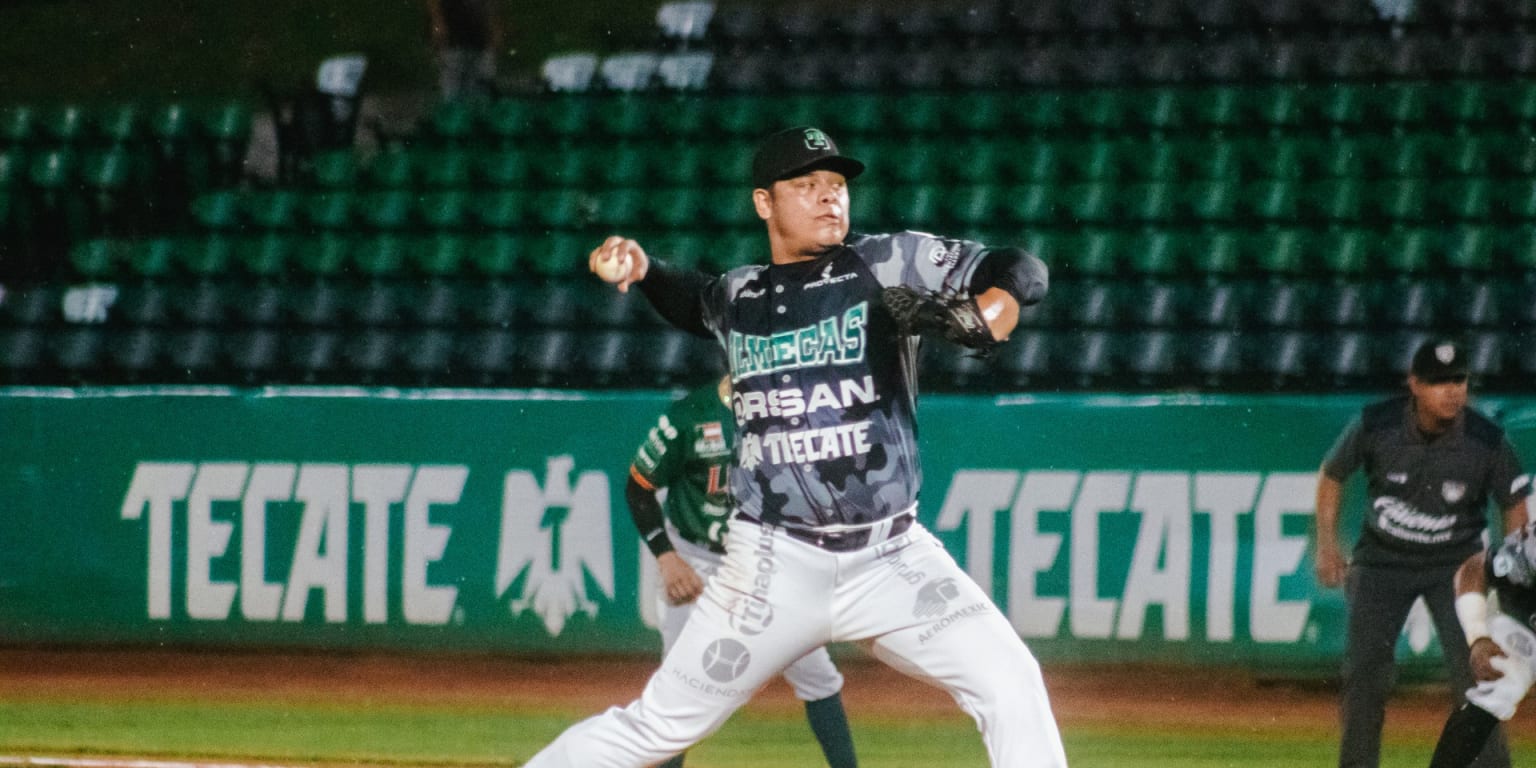 Toros: Fortalecen su bullpen | MiLB.com