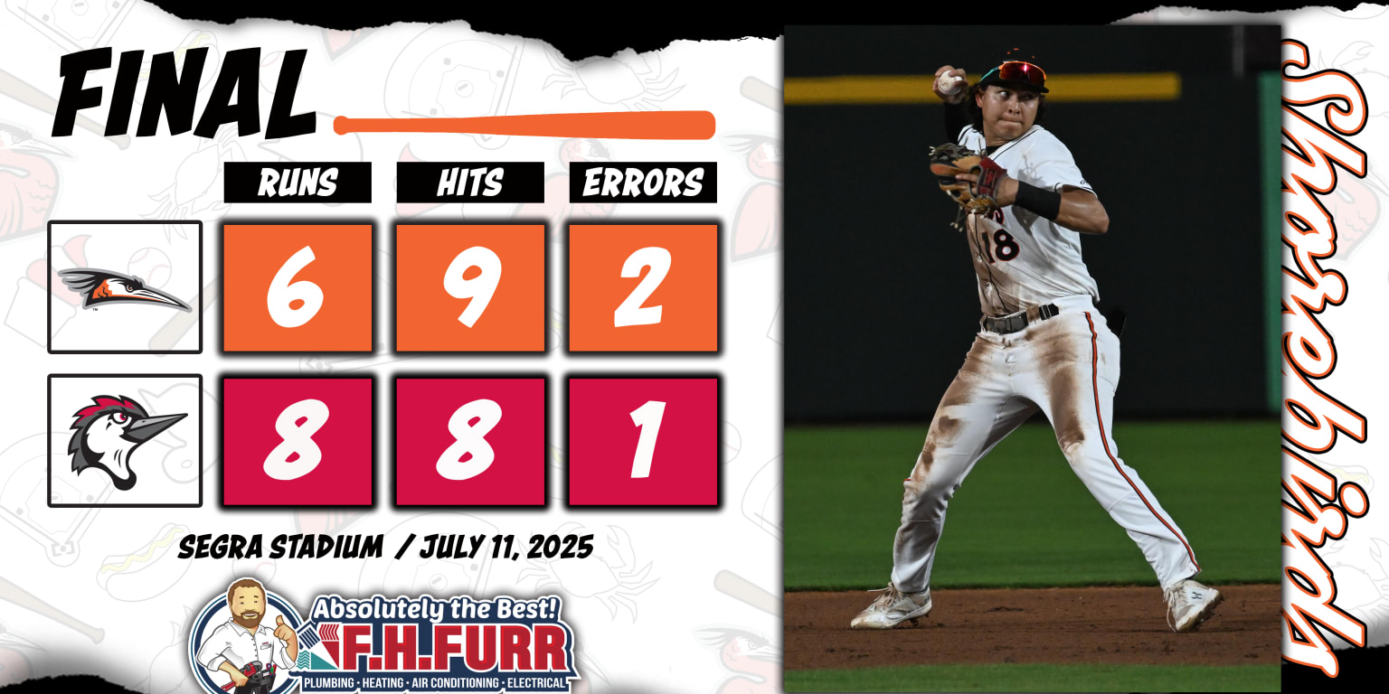 Shorebirds Edged by Woodpeckers in Back-and-Forth Game | Shorebirds