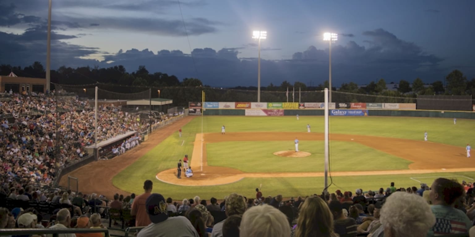 Dash Fall Behind Early in 8-4 Loss | MiLB.com