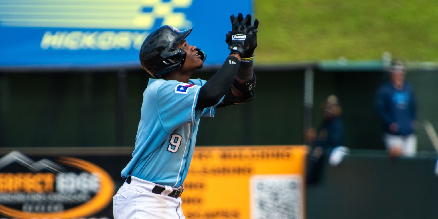 Mejia Picks Up 5 Hits in 12-8 Loss | MiLB.com
