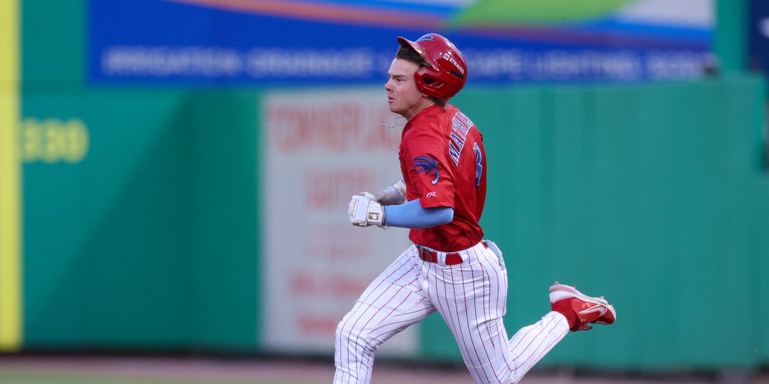 Mathison’s Late Homer Power Threshers To Series Win | MiLB.com