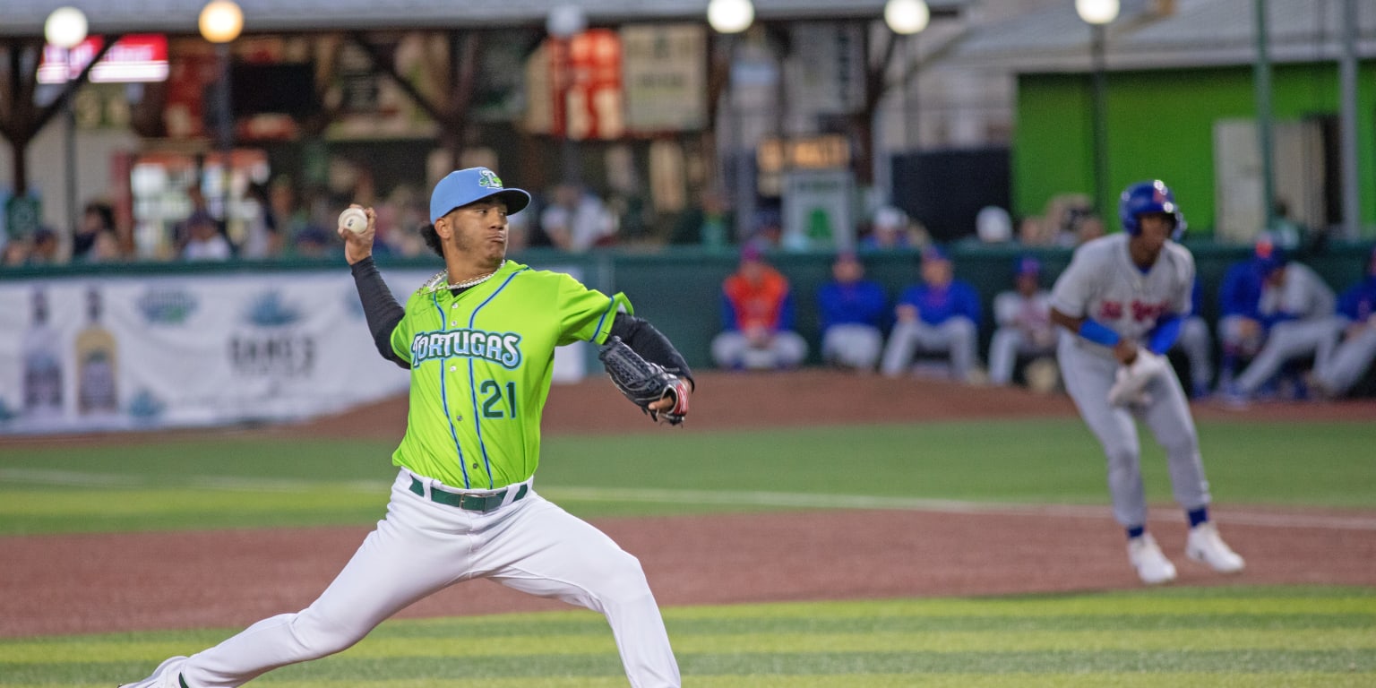 Ninth-Inning Rally Comes Up Short in Series-Ending Setback | MiLB.com