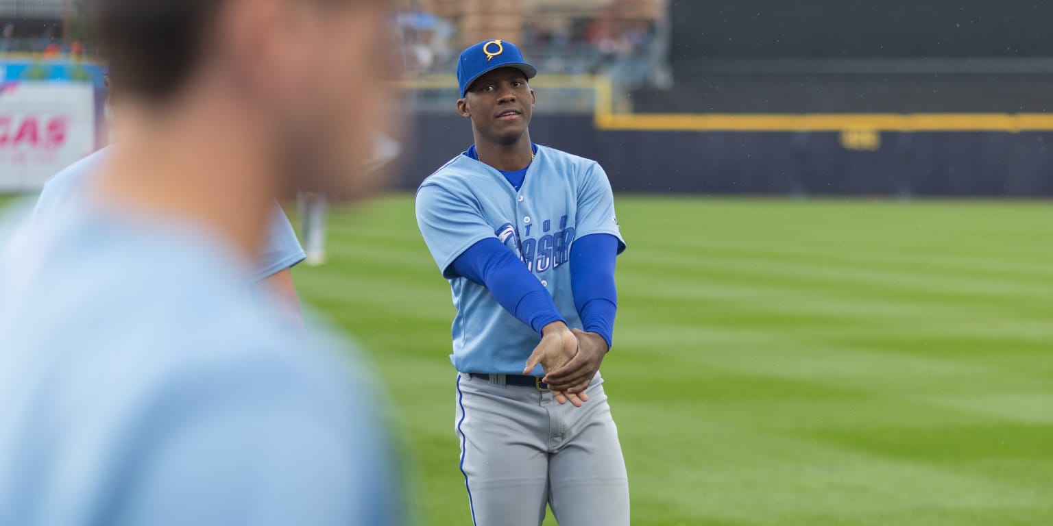 Chasers Fall to Mets in Second Straight Game | MiLB.com