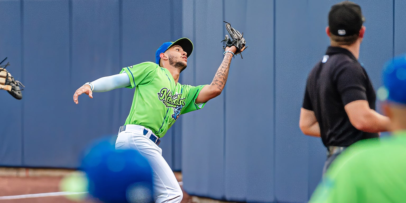 Rushing Delivers Dramatic Walk-Off Home Run | MiLB.com