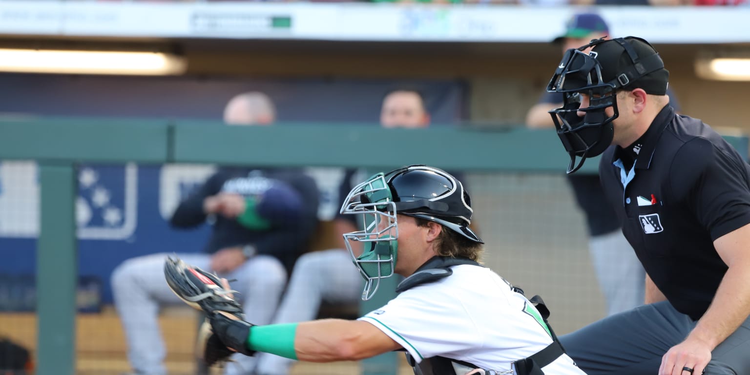 Dragons 2025 Team Preview, Part 1: Catchers | MiLB.com